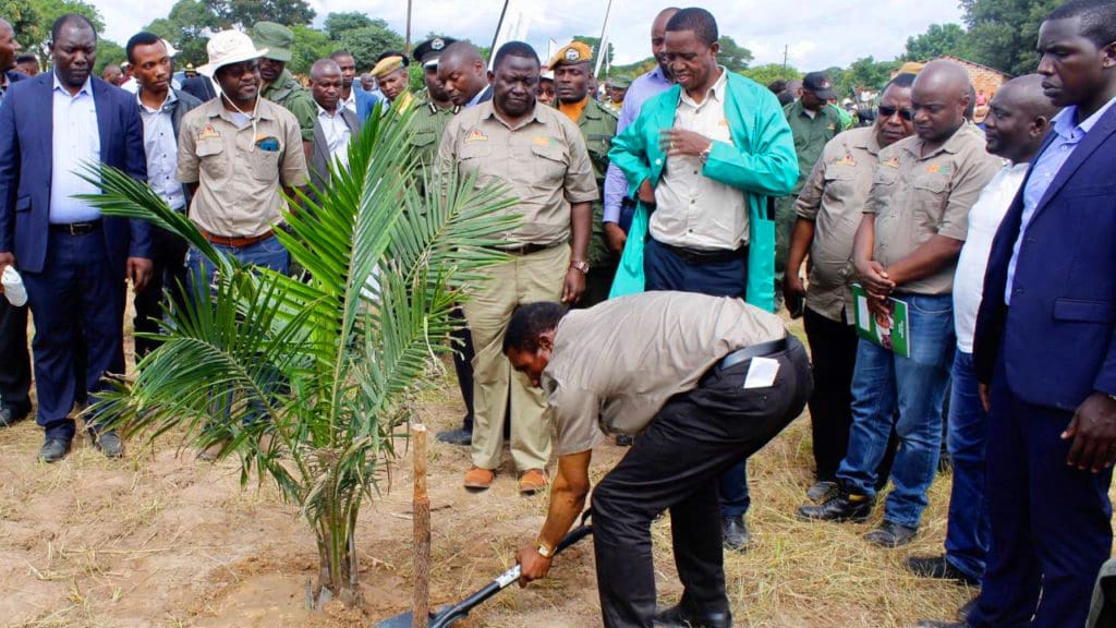 ZAMPALM - Industrial Development Corporation (IDC) Zambia Limited