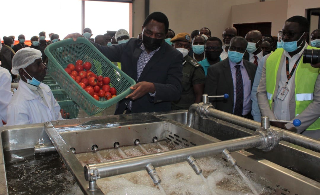 PRESIDENT HAKAINDE HICHILEMA COMMISSIONS IDC’S KALENE HILLS FRUIT ...